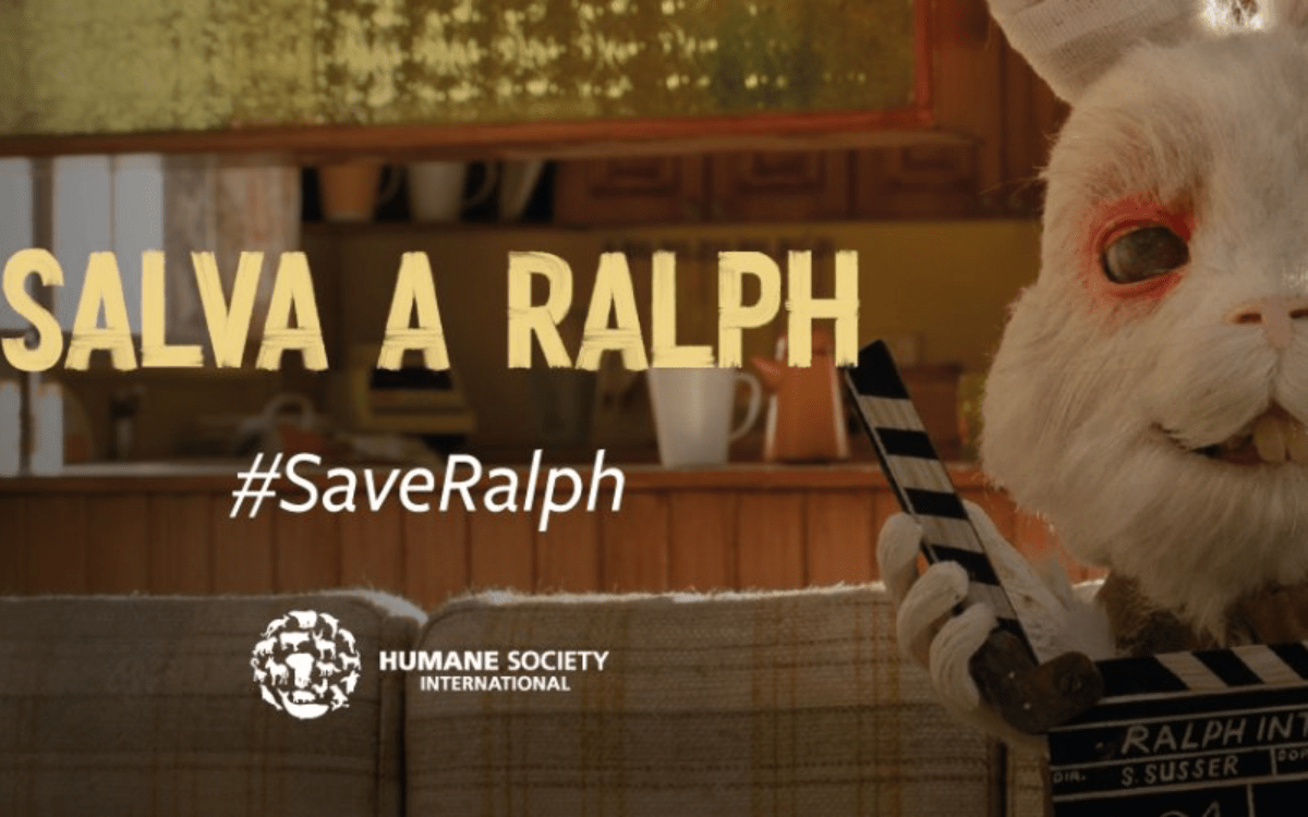 “Save Ralph”, la llamada a la acción para dejar de adquirir productos ...